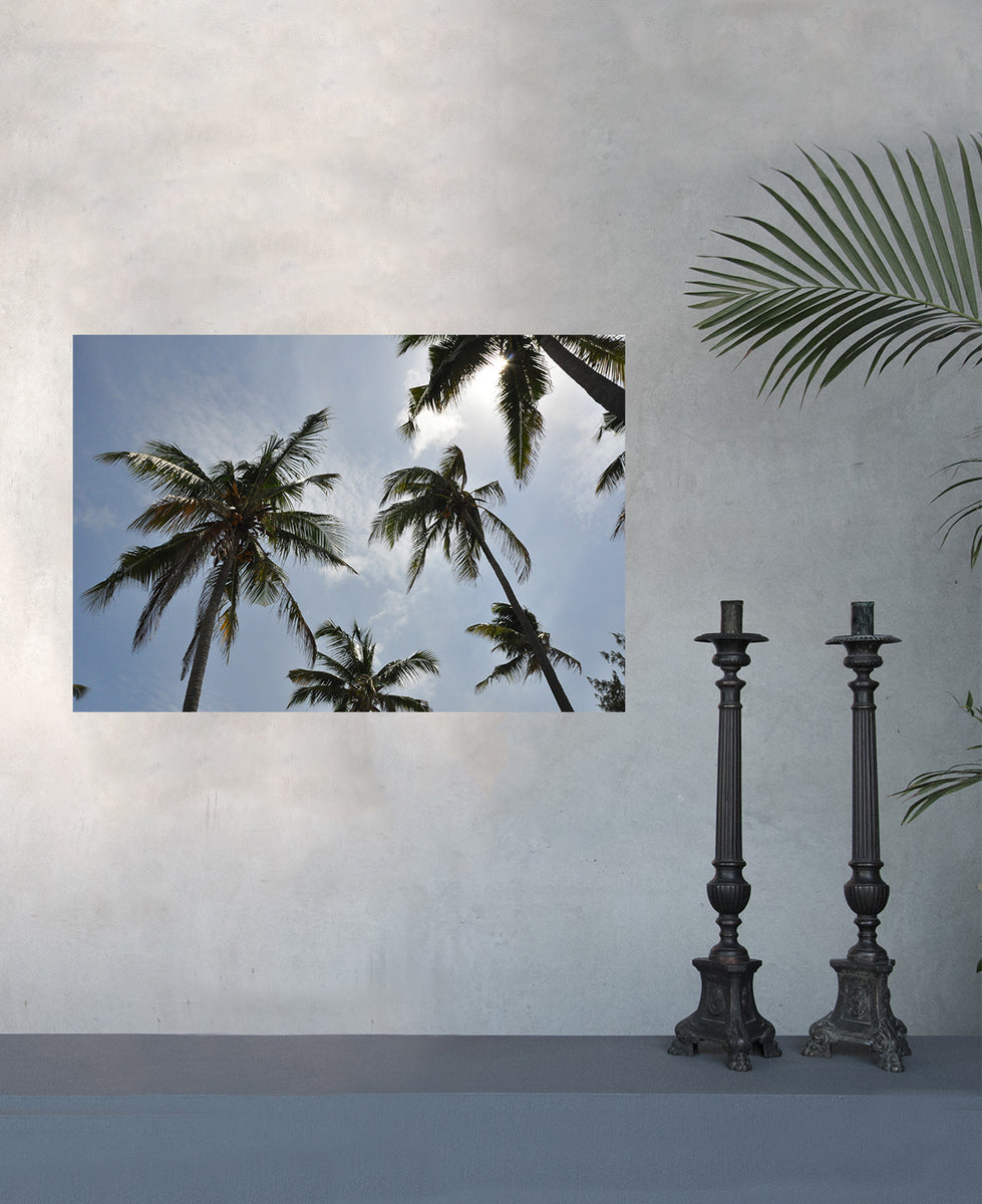 GOA PALM TREES – MONTROI